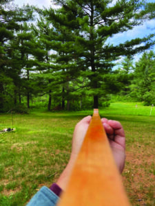 Forest Inventory Sampling Methods for the Woodlot - Grit